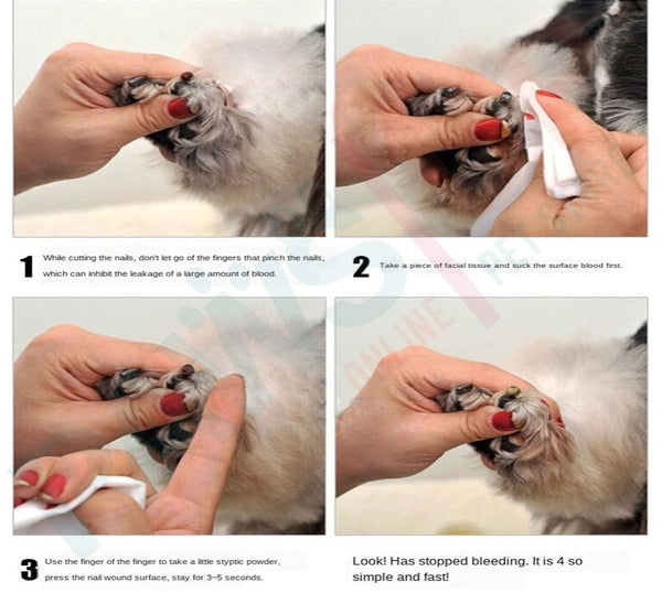 Bioline Pet Styptic Powder 14g – Quick Blood Stopper for Dogs & Cats ...